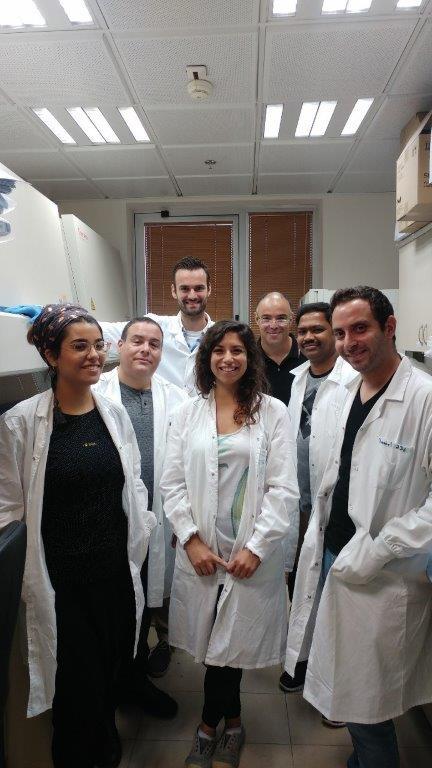 Peer Lab [IMAGE] | EurekAlert! Science News Releases