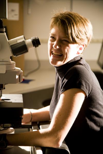 Malene Hansen, Ph.D., Sanford- [IMAGE] | EurekAlert! Science News Releases