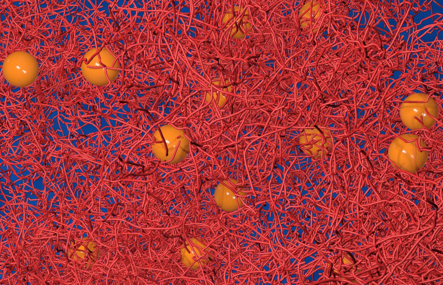 image of filaments and microsc [IMAGE] | EurekAlert! Science News Releases