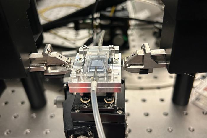 Testing setup of the photonic [IMAGE] | EurekAlert! Science News Releases