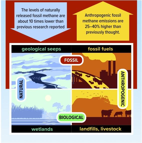 Methane emitted by humans vastly underestimat | EurekAlert!