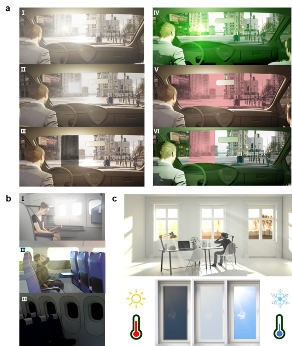 Light protection strategies in [IMAGE] | EurekAlert! Science News Releases