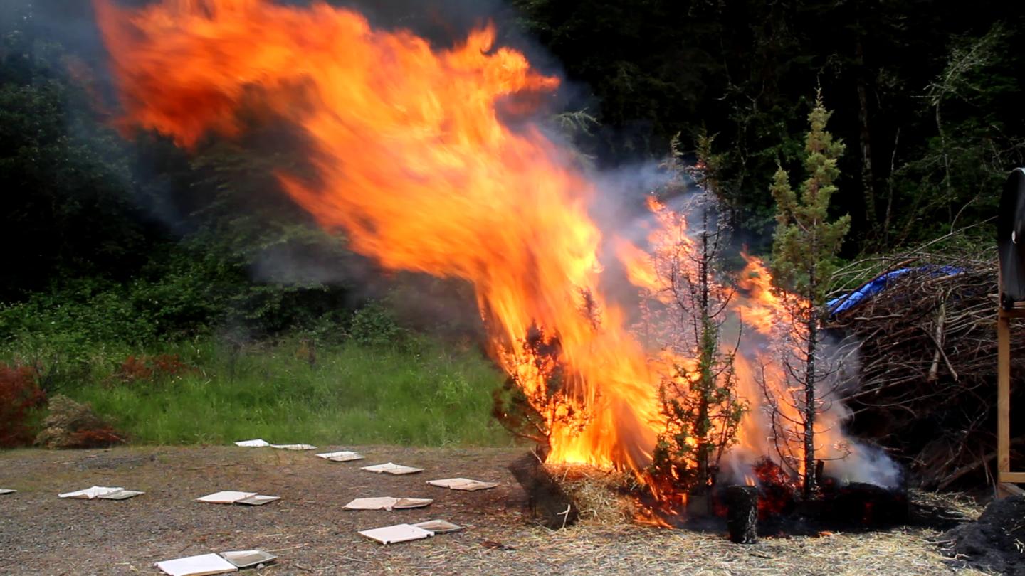 Wildfire Research [IMAGE] | EurekAlert! Science News Releases