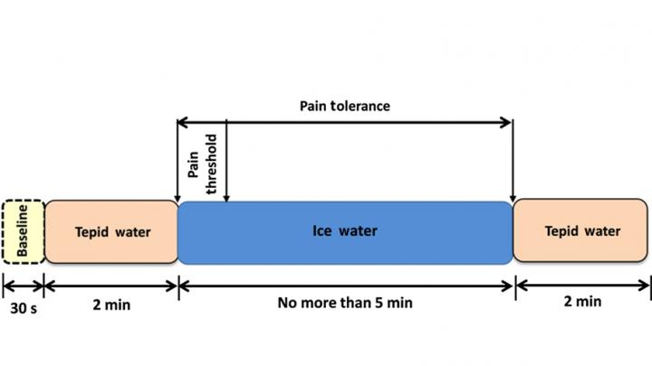 Block Diagram of the Cold Pres [IMAGE] | EurekAlert! Science News Releases