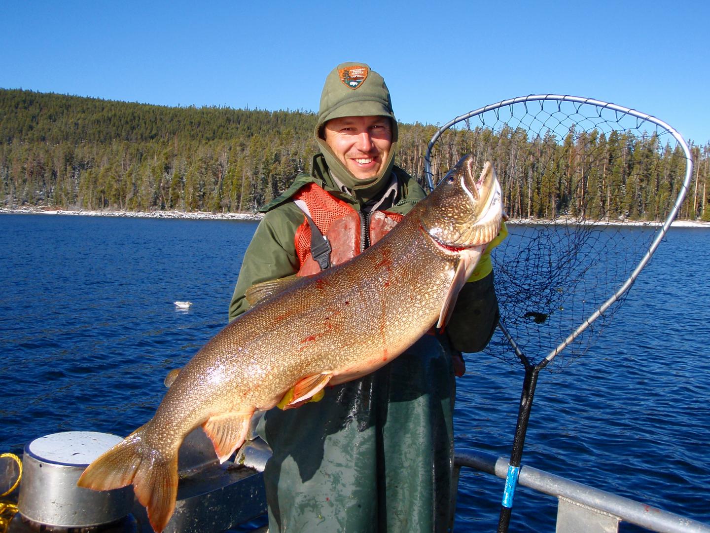 Invasion of Lake Trout in Yellowstone Changed | EurekAlert!