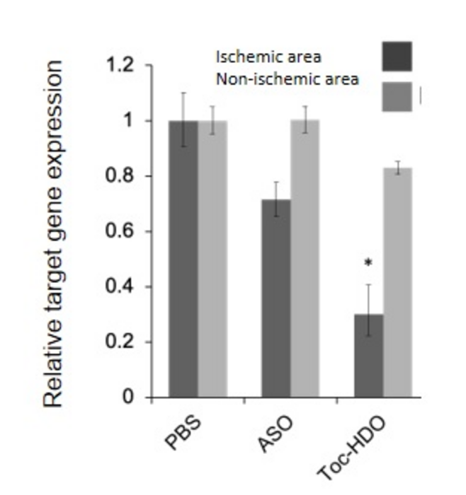 High gene-silencing efficacy o [IMAGE] | EurekAlert! Science News Releases