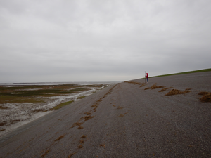 Measuring the tide mark after [IMAGE] | EurekAlert! Science News Releases