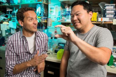 Martin Hetzer and Brandon Toya [IMAGE] | EurekAlert! Science News Releases