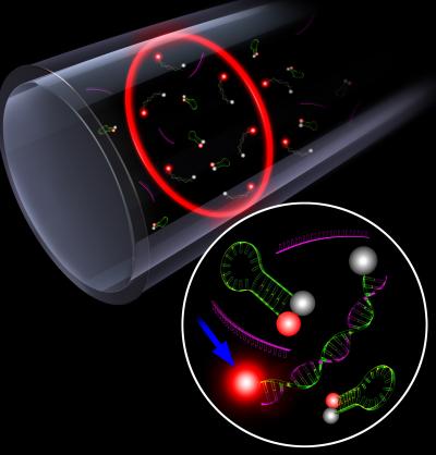 Liquid Laser Technique [IMAGE] | EurekAlert! Science News Releases