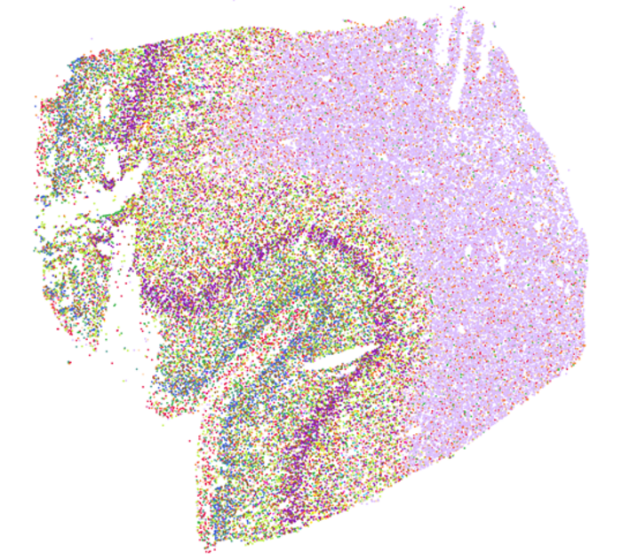 Science image [IMAGE] | EurekAlert! Science News Releases