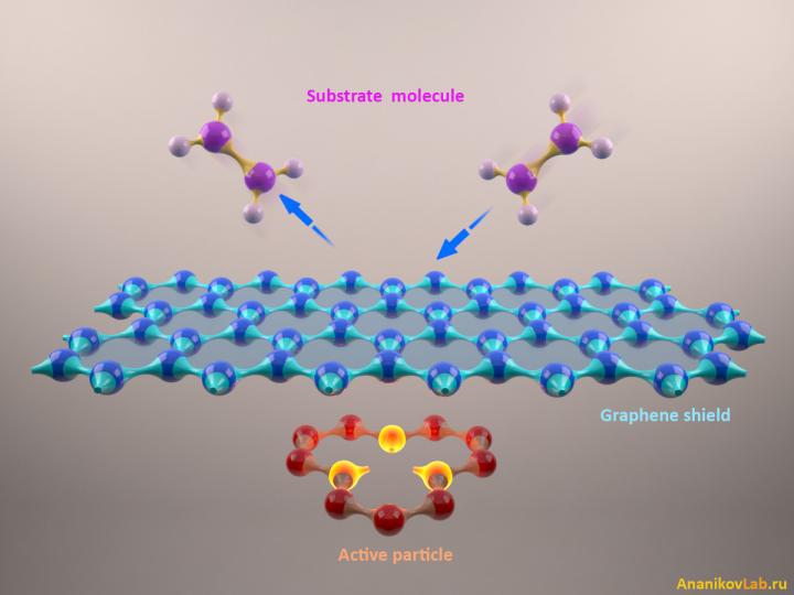 Graphene decharging and molecular shielding | EurekAlert!