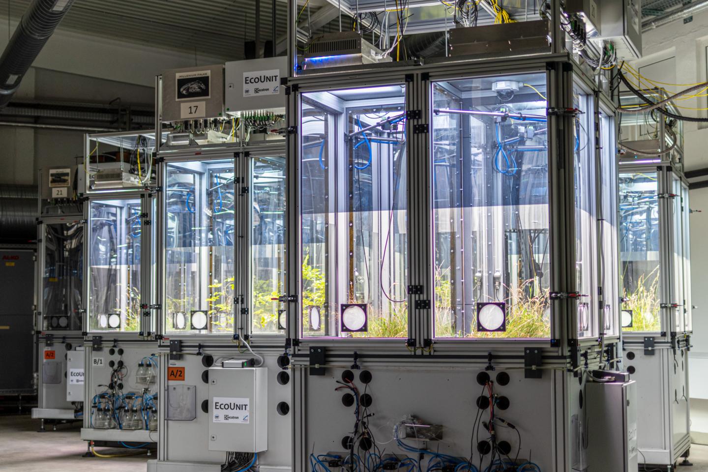 Into the third funding phase with a boost for | EurekAlert!