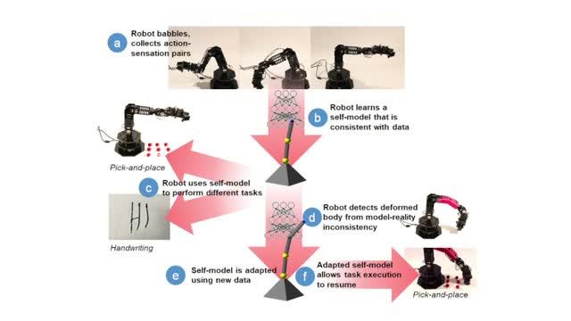 A step closer to self-aware machines | EurekAlert!
