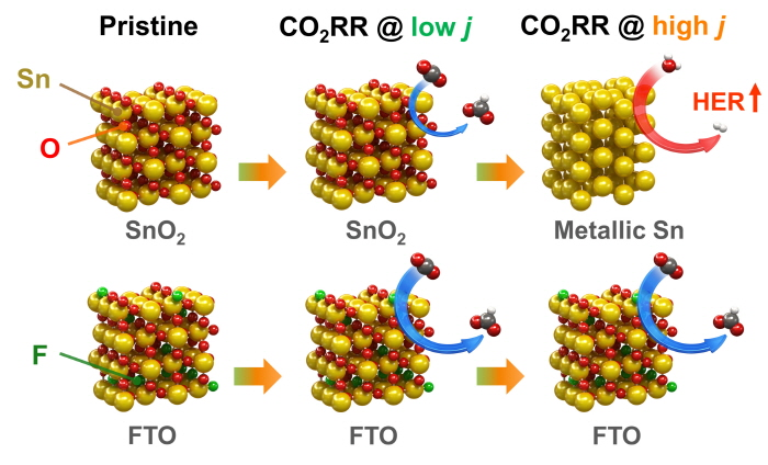 Figure 2 [IMAGE] | EurekAlert! Science News Releases
