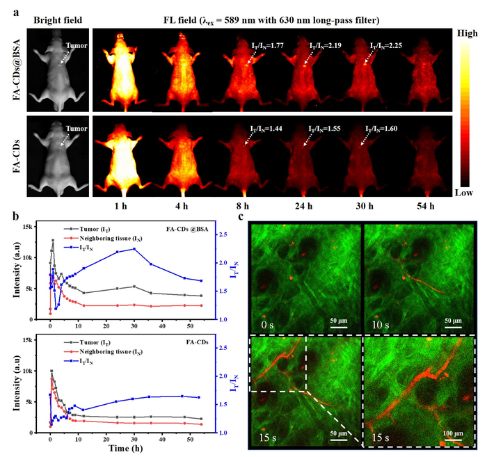 Figure 3 | In vivo tumor imagi [IMAGE] | EurekAlert! Science News Releases