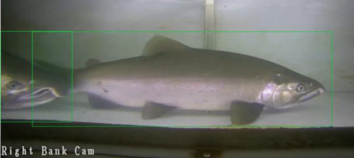 First Nations-led A.I. technology holds promi | EurekAlert!