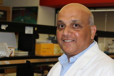Vivek Rangnekar, University of [IMAGE] | EurekAlert! Science News Releases