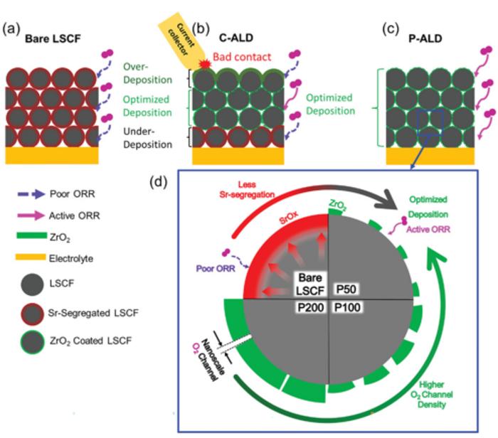 A schematic representation ill [IMAGE] | EurekAlert! Science News Releases