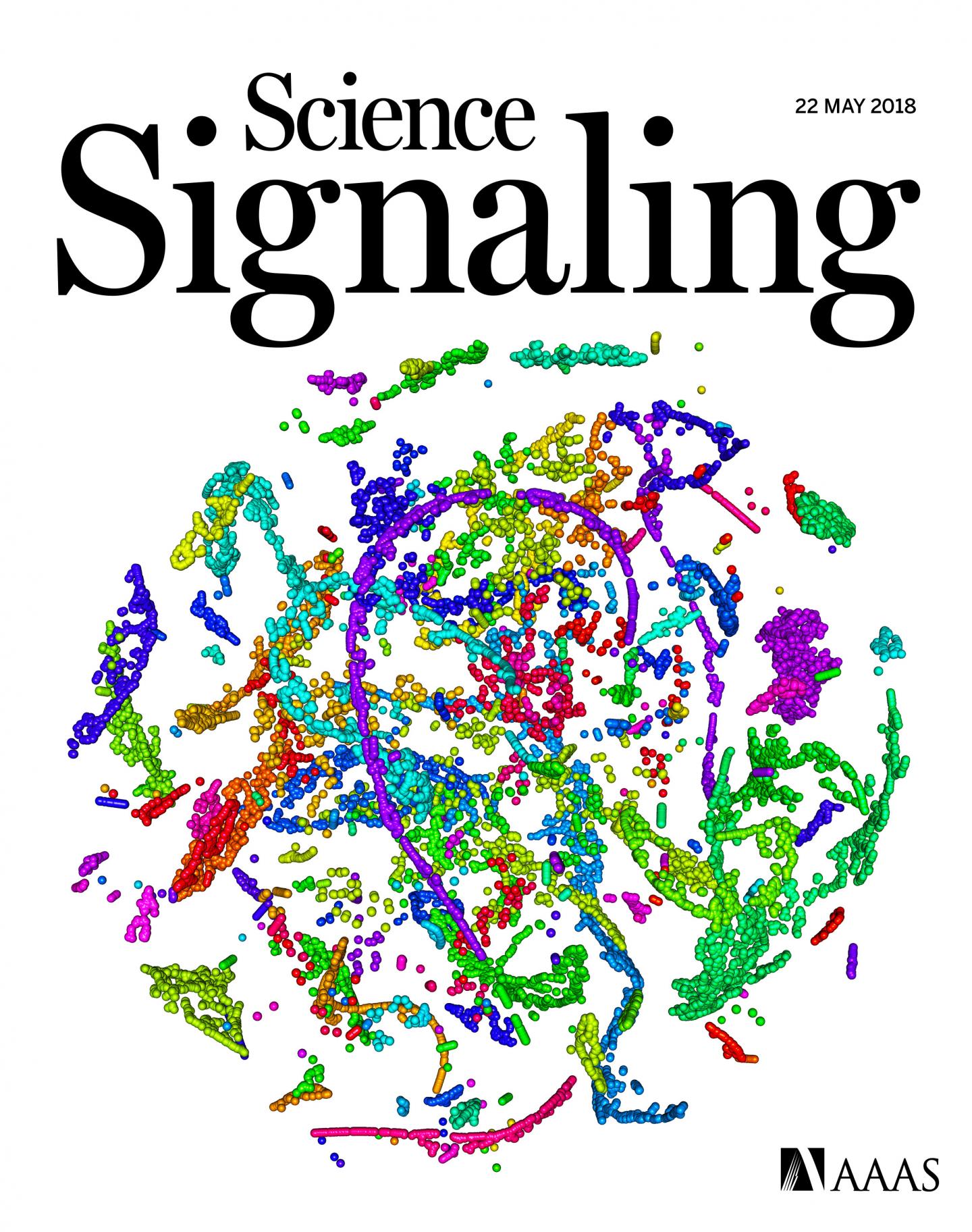 Science Signaling Cover [IMAGE] | EurekAlert! Science News Releases