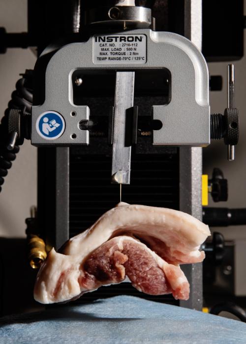 Pork Hoist [IMAGE] | EurekAlert! Science News Releases