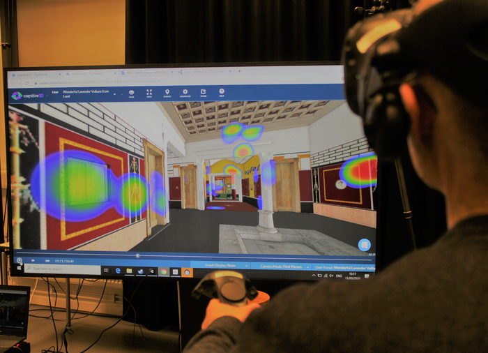 Participant viewing the materi [IMAGE] | EurekAlert! Science News Releases