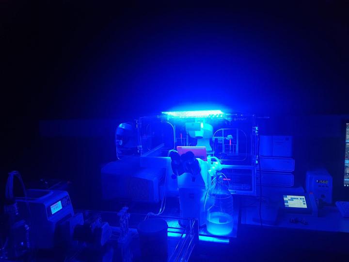 A Light-Responsive Biofilm Squashes Bacterial | EurekAlert!