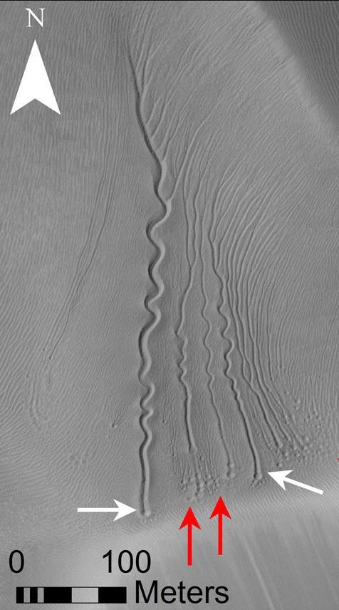 Linear Gullies on a Dune in Ma [IMAGE] | EurekAlert! Science News Releases