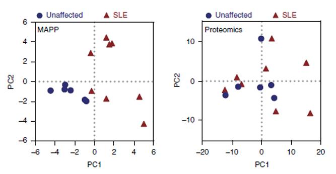 MAPP Analysis [IMAGE] | EurekAlert! Science News Releases