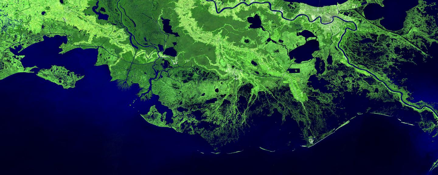Mississippi Delta Coast [IMAGE] | EurekAlert! Science News Releases
