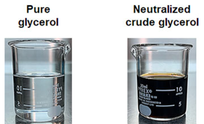 Figure 5 [IMAGE] | EurekAlert! Science News Releases