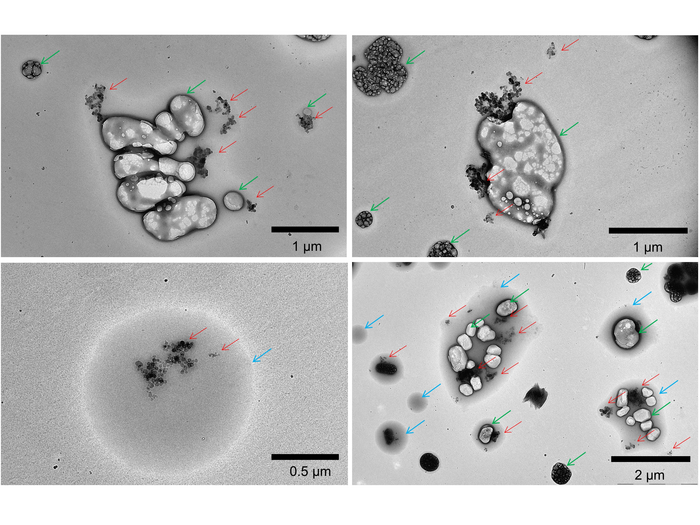 Ambient aerosols [IMAGE] | EurekAlert! Science News Releases