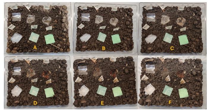 Degradation of different plast [IMAGE] | EurekAlert! Science News Releases