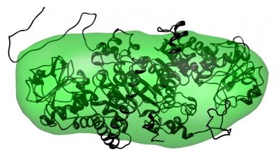 Protein from Pyrococcus fur [IMAGE] | EurekAlert! Science News Releases