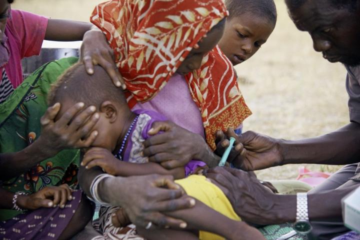 New understanding of childhood immune systems | EurekAlert!