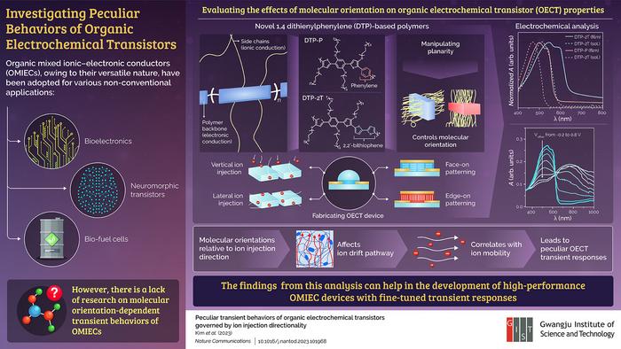 Strange Transient Responses of [IMAGE] | EurekAlert! Science News Releases