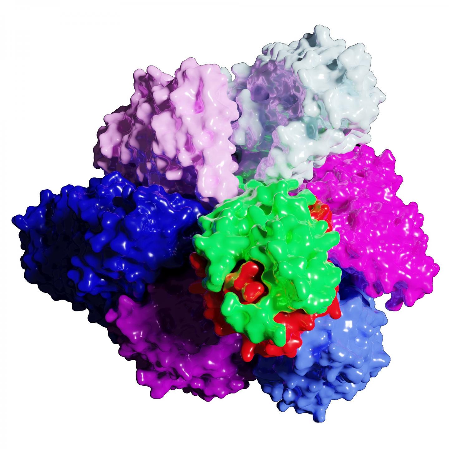 Topview of V1 Motor [IMAGE] | EurekAlert! Science News Releases
