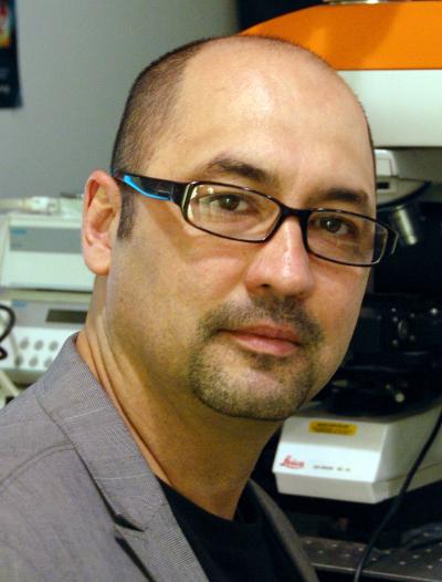 Alexander Balandin, University [IMAGE] | EurekAlert! Science News Releases