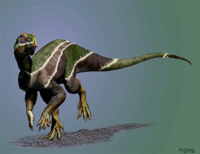 New dino, ‘Iani,’ was face of a changing plan | EurekAlert!