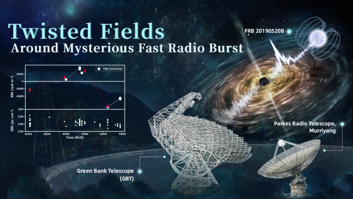 Researchers discover twisted fields around my | EurekAlert!