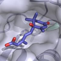 UCR plant scientist's research spawns new dis | EurekAlert!