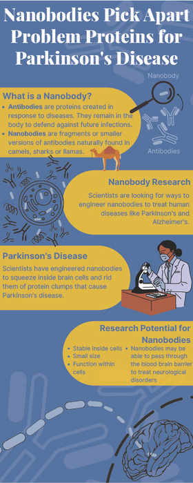 Nanobodies Infographic [IMAGE] | EurekAlert! Science News Releases