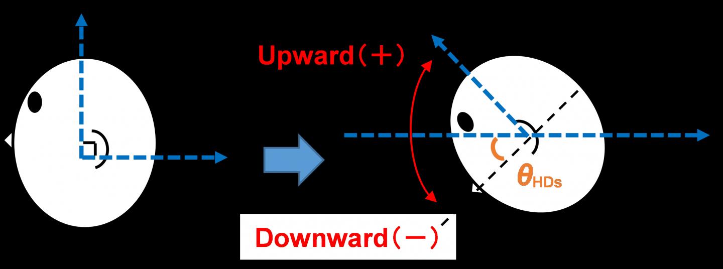 Fig.2 [IMAGE] | EurekAlert! Science News Releases