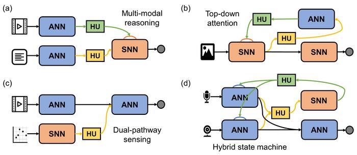 Representative HNNs with diffe [IMAGE] | EurekAlert! Science News Releases