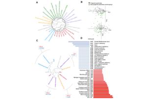 New study: Defining the progeria phenome | EurekAlert!