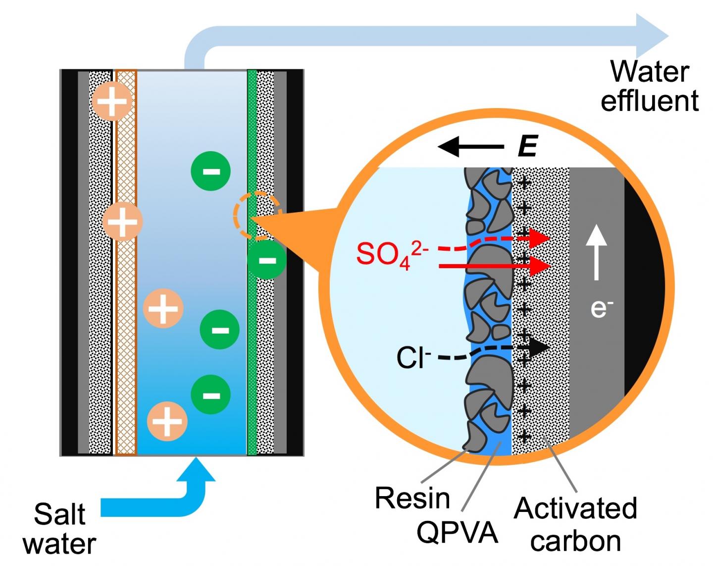 Sulfate 2 [IMAGE] | EurekAlert! Science News Releases