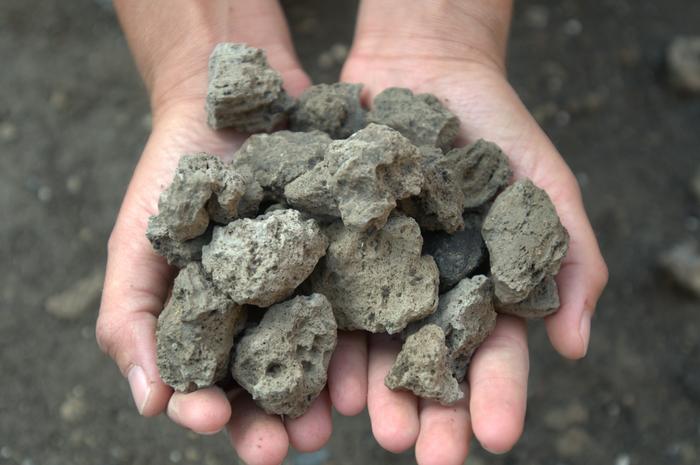 A handful of pumice [IMAGE] | EurekAlert! Science News Releases
