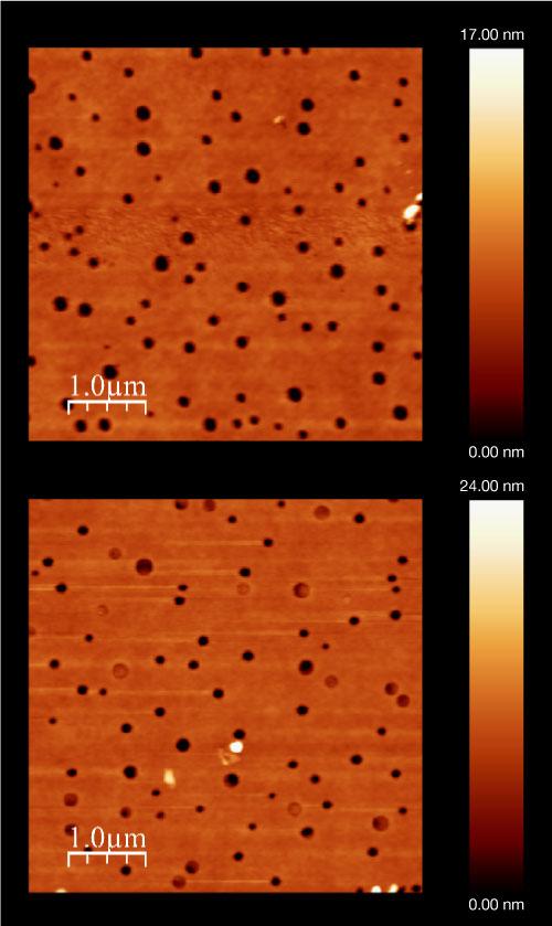 Pinholes [IMAGE] | EurekAlert! Science News Releases