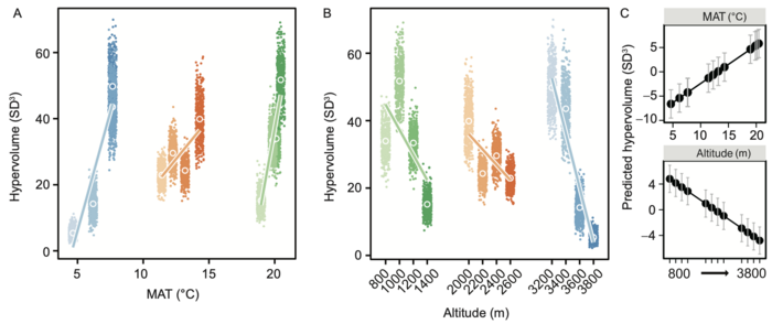 Functional trait space across [IMAGE] | EurekAlert! Science News Releases