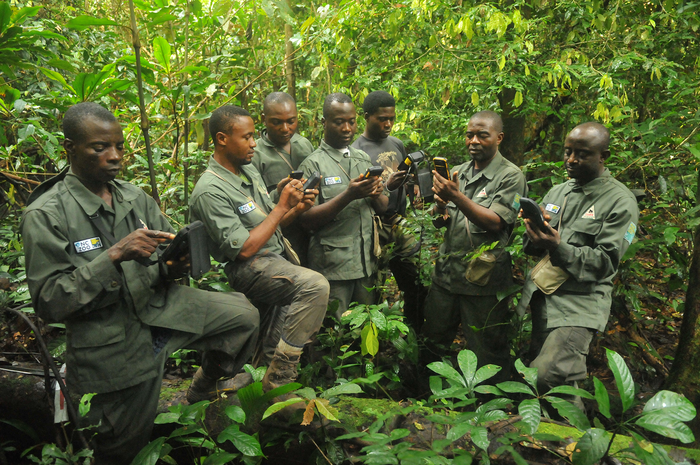 Ranger numbers and protected area workforce m | EurekAlert!