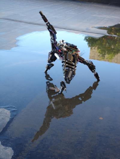 Resilient Robots 2 (of 3) | EurekAlert!